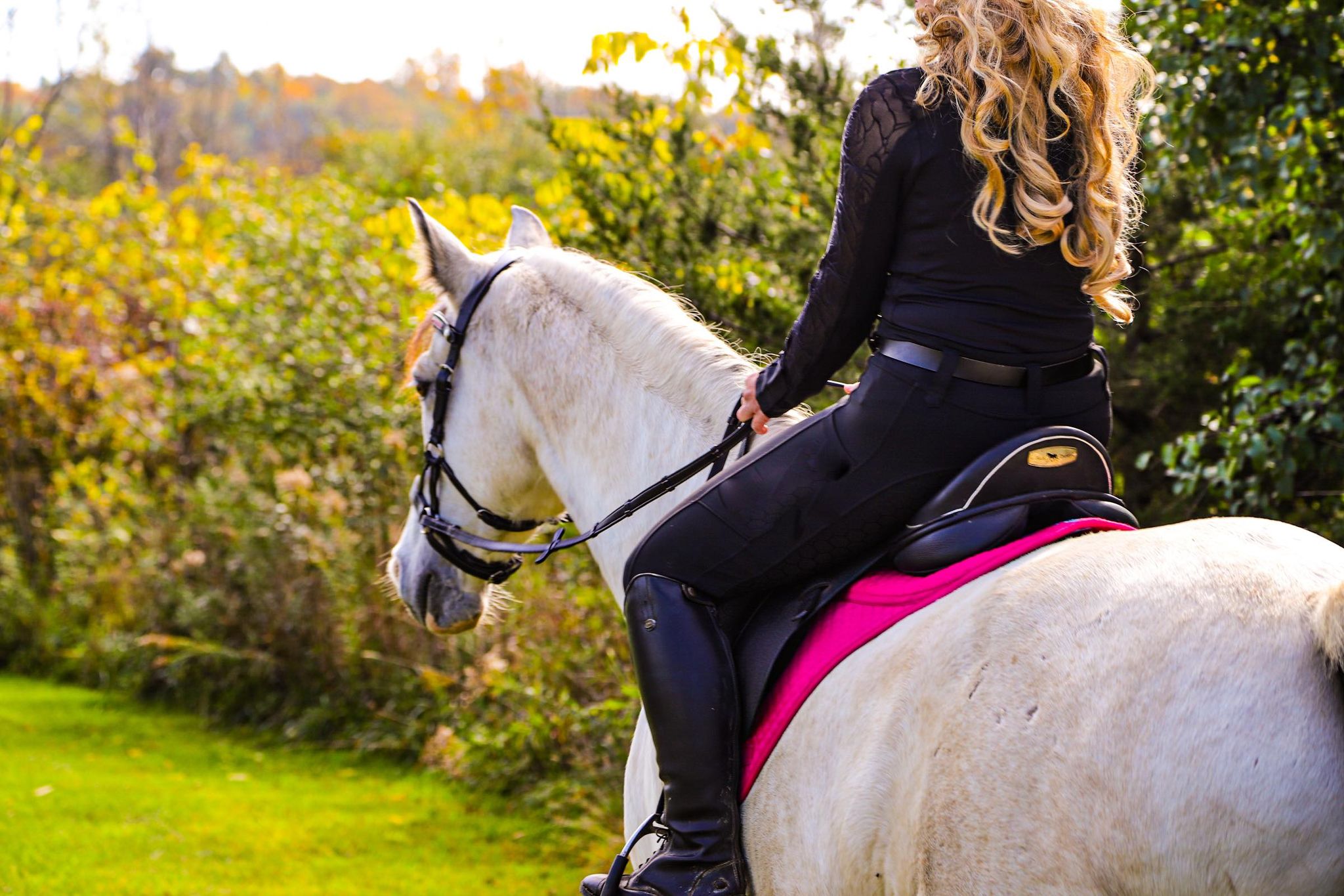 Best Sellers! – The Spirited Horse Boutique