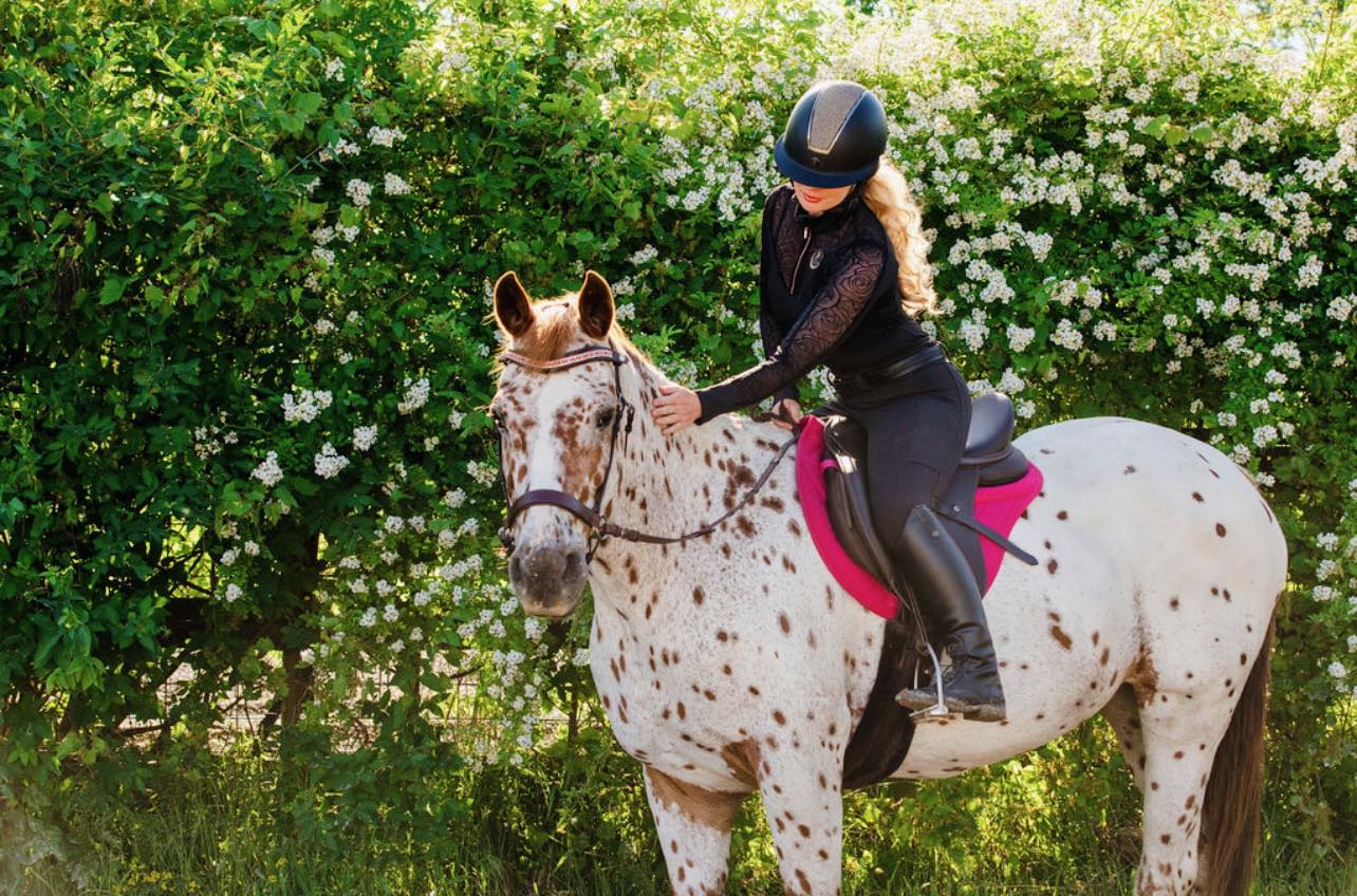 The Spirited Horse Boutique – The Spirited Horse Boutique